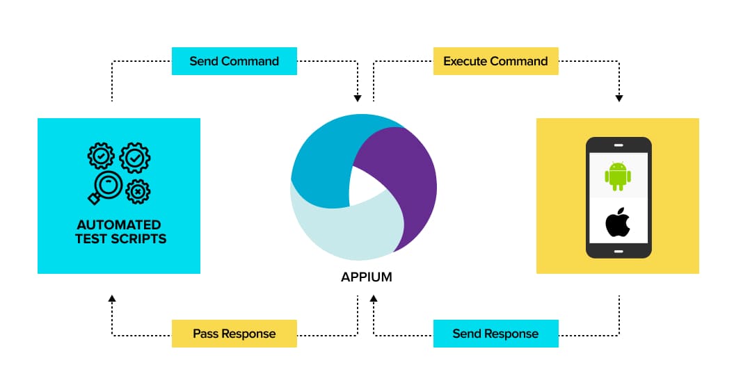 10 Best Automation Testing Tools for Software Development